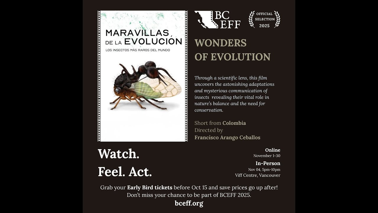 WONDERS OF EVOLUTION - BCEFF 2025 - YouTube
