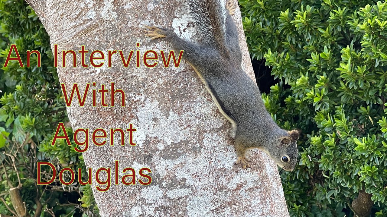 Agent Douglas - An Interview - YouTube