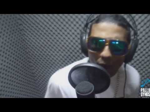 Mc Puguito - Que Novinha é Essa Palladynus Dj)