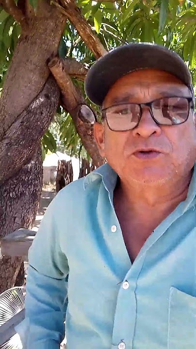 Um Pouco De Nosso Lugar Youtube