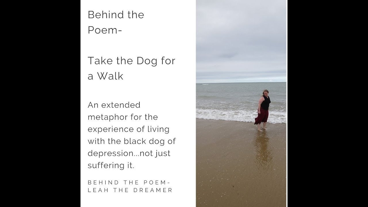 Behind the Poem Take the Dog for a Walk - YouTube