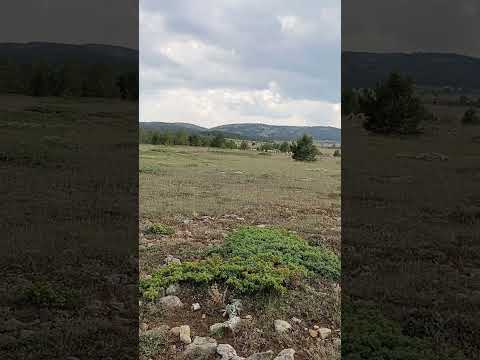 Kargı ve Kargı yaylasına şiir