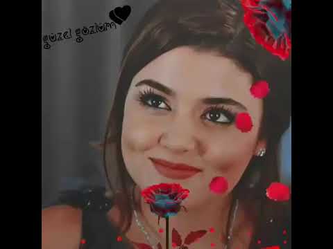 Kırmızı gül 🌹demet demet