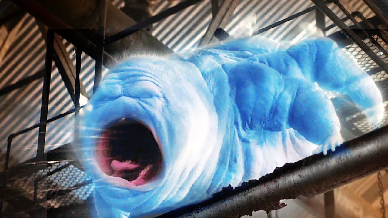 Ces gamins essayent de capturer leur premier fantôme | S.O.S Fantômes ...