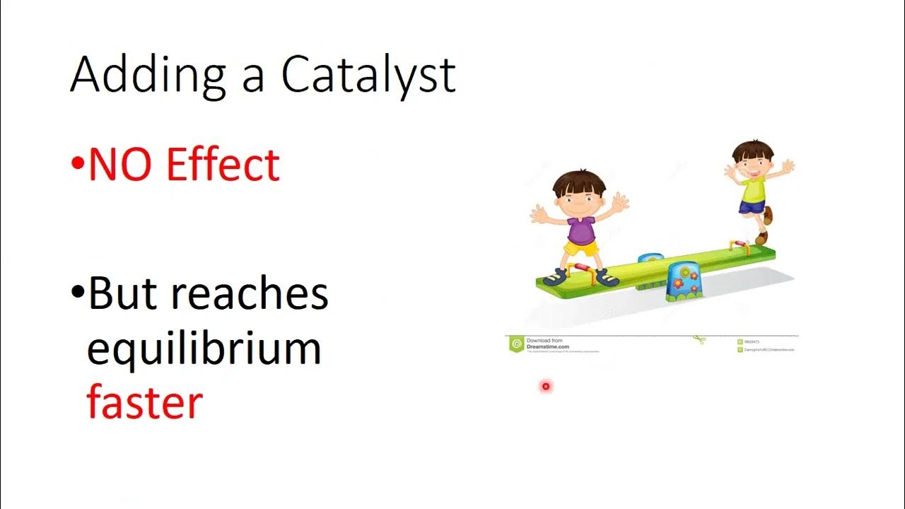 Dynamic Equilibrium Part 2 - YouTube