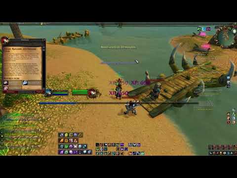 Classic Wow Phase 5: Leveling 58-60 from Zul'Gurub ZG Coins | 58 60 ...