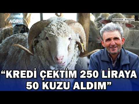 Kredi Çekip 50 Kuzuyla Başladı! \
