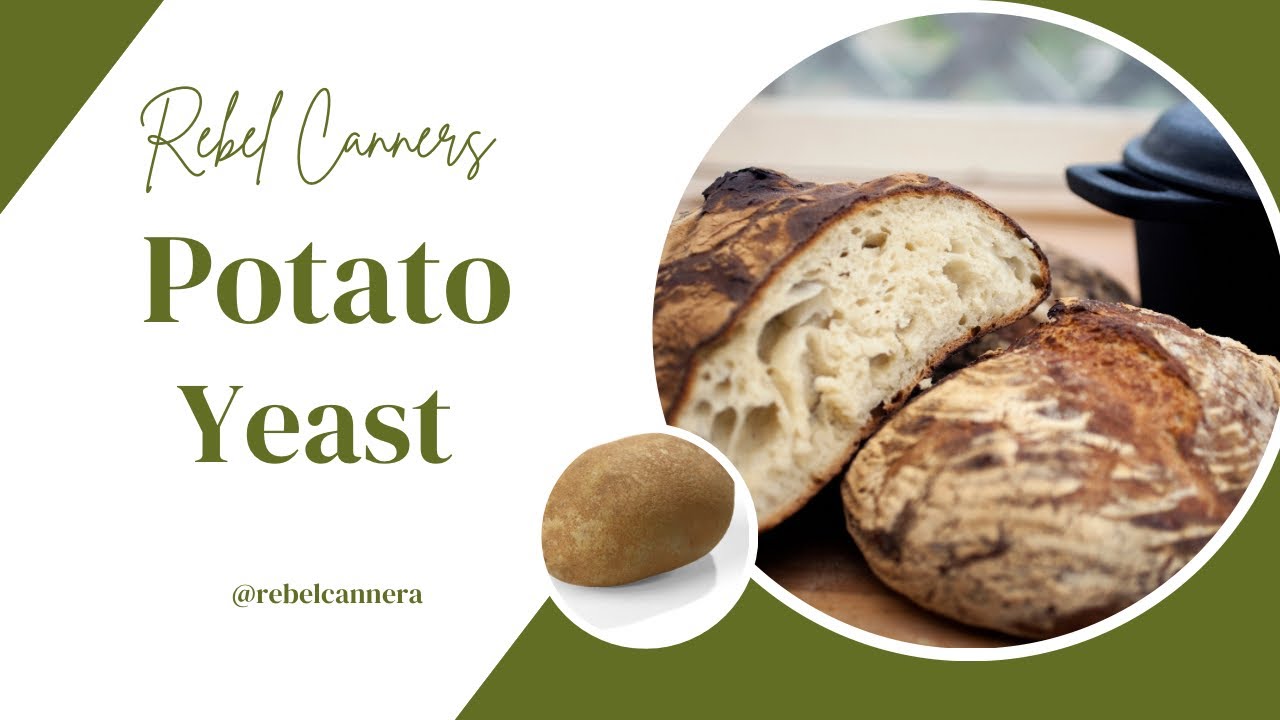 Making bread yeast from leftover potato water - YouTube