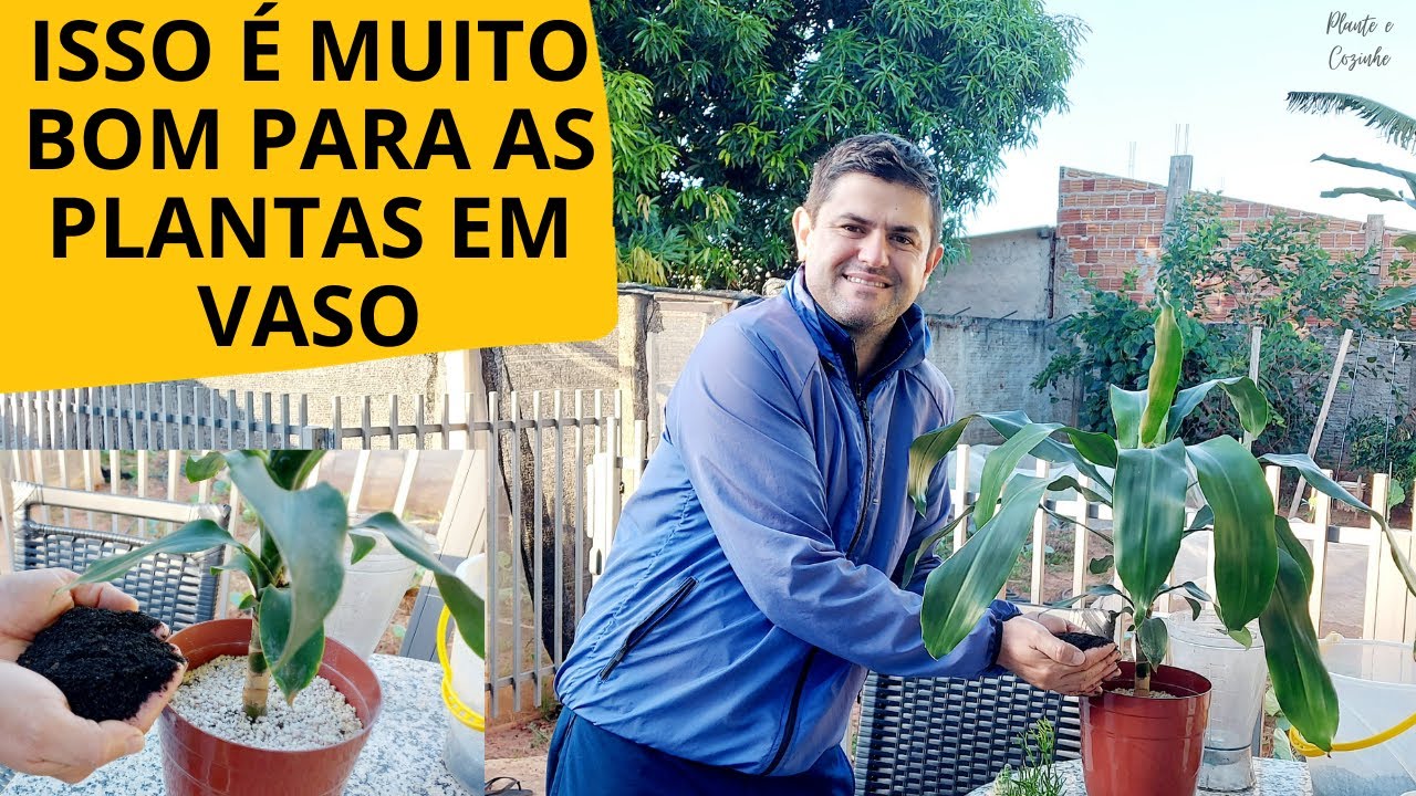 TERRA VEGETAL ou SUBSTRATO, qual é MELHOR? Dicas de cultivo, ADUBAÇÃO ...