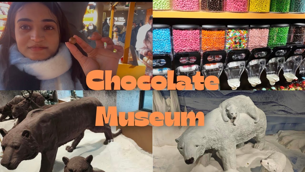 Visit to a Chocolate Museum | Chocolate Factory |Chocolate Structures ...