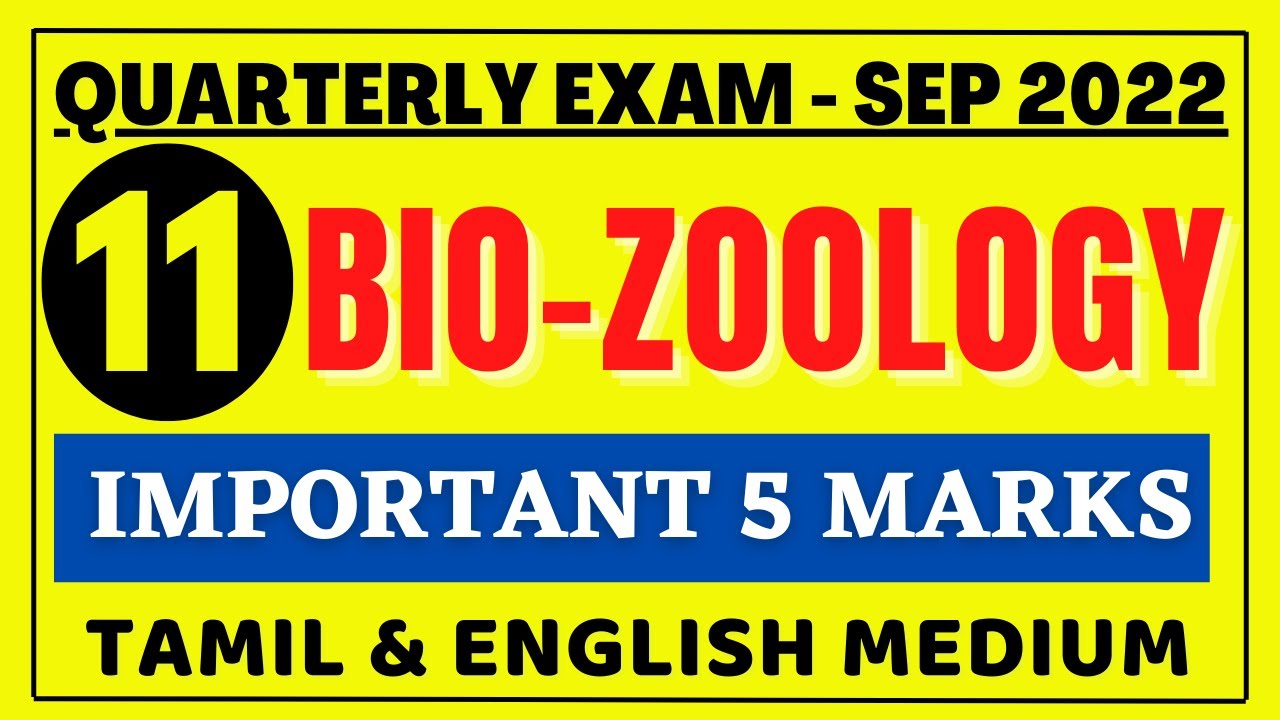 11th Bio Zoology Important 5 Mark Questions 11th Bio Zoology 11th-bio-zoology-important-5-mark-questions-11th-bio-zoology