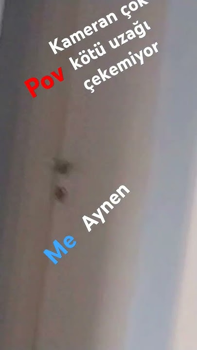 Ayn kardeş Aras kargo - YouTube