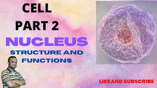NUCLEUS CLASS IX SCIENCE CHAPTER 5 FUNDAMENTAL UNIT OF LIFE CELL