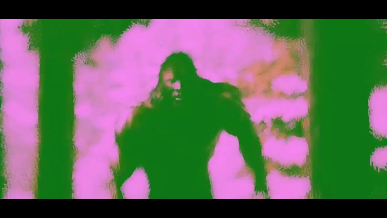 Sasquatch Sounds Bigfoot Audio Recordings September Indiana 2020 - YouTube