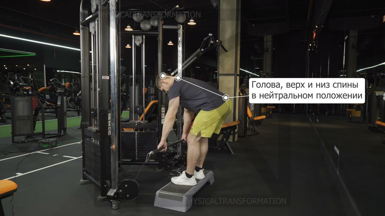 Румынская тяга в узком кроссовере (Cable Romanian Deadlift) - YouTube