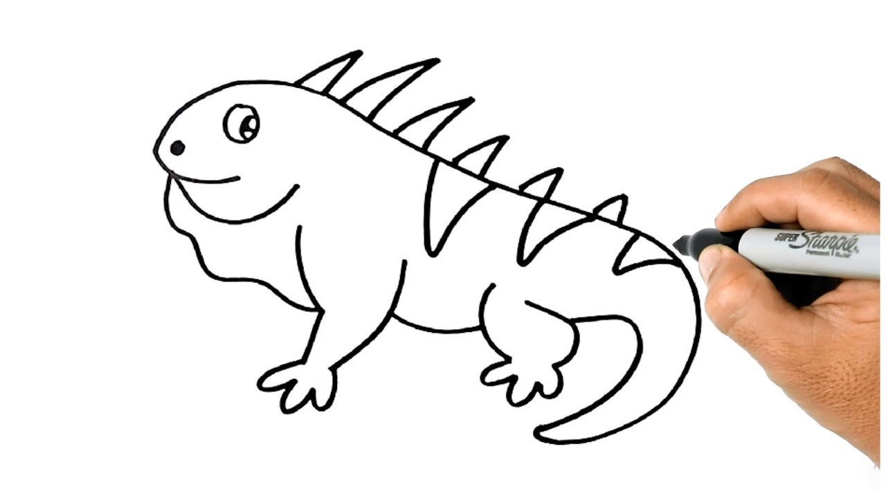 HOW TO DRAW AN IGUANA EASY STEP BY STEP - YouTube