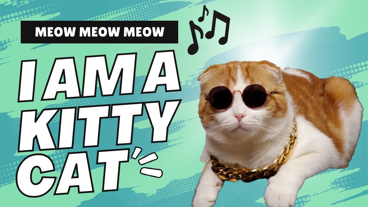 Meow Meow Meow I Am A Kitty Cat - Kids Song for Cat Lovers - YouTube