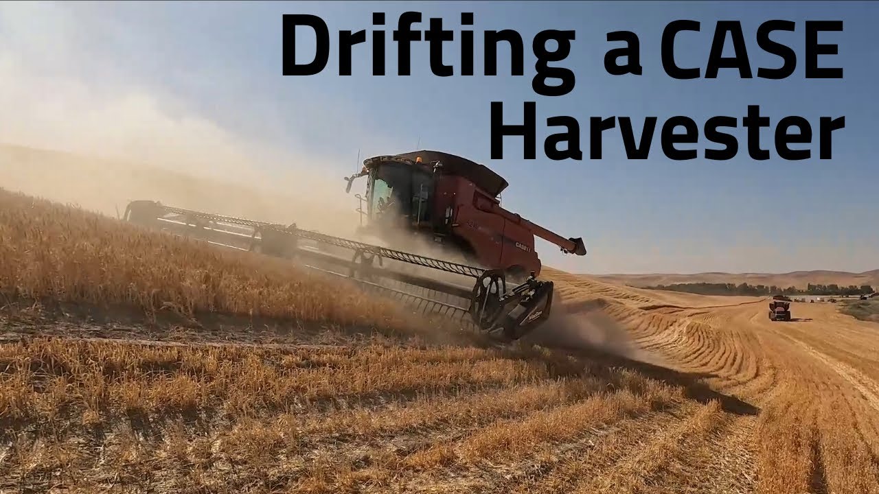 Cutting our steepest wheat field - YouTube