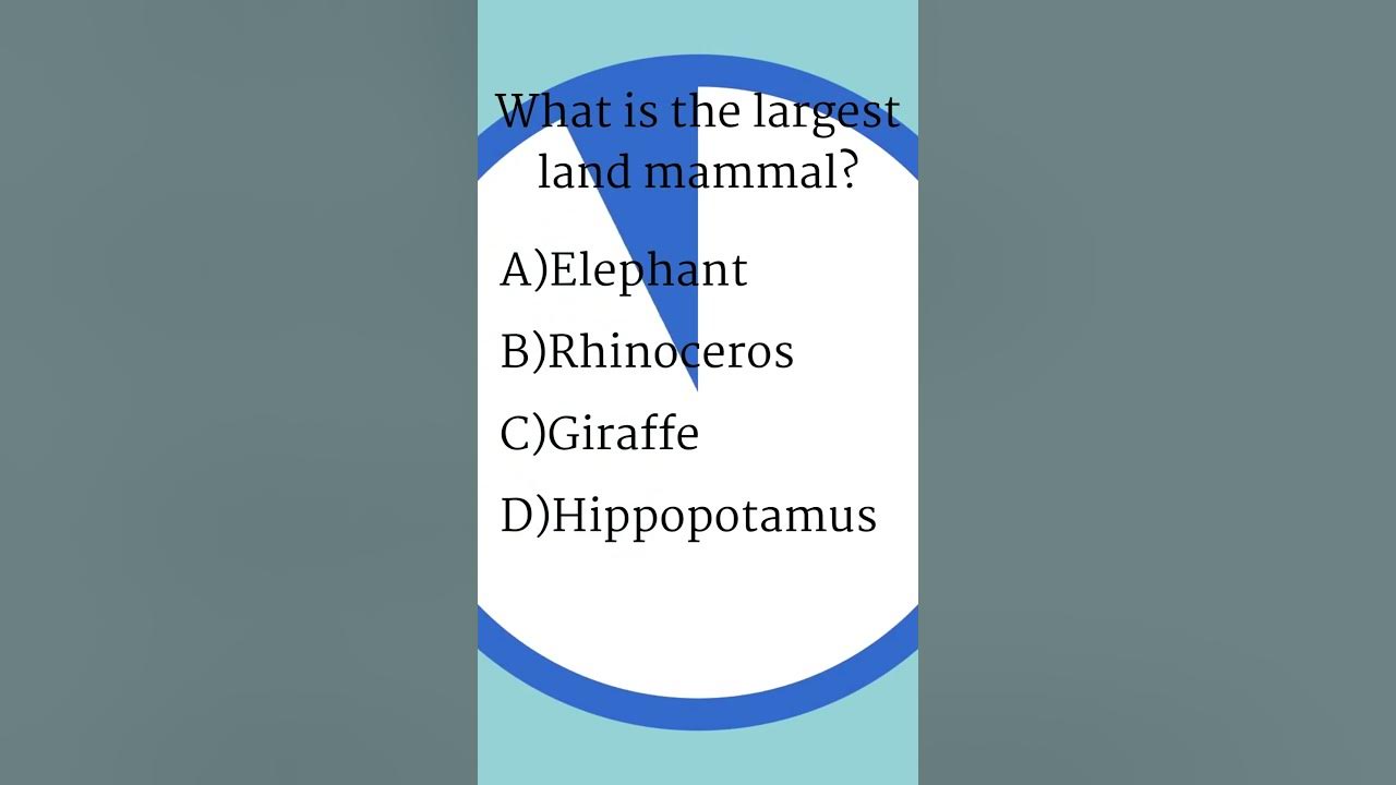 Test Your Knowledge Quick Quiz Youtube