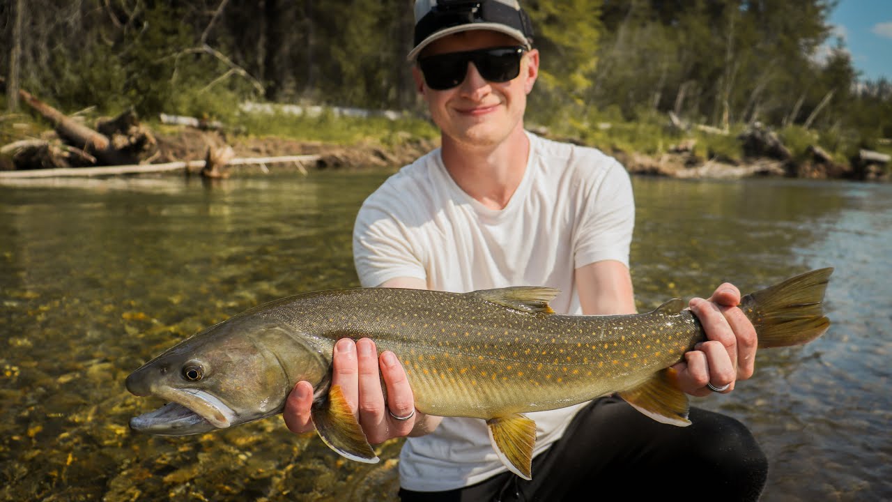 BACKCOUNTRY BULLIES | BULL TROUT IN BC | 4K - YouTube