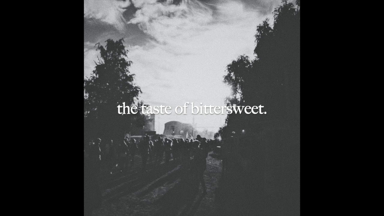 The Paper Kites - Tin Lover - YouTube