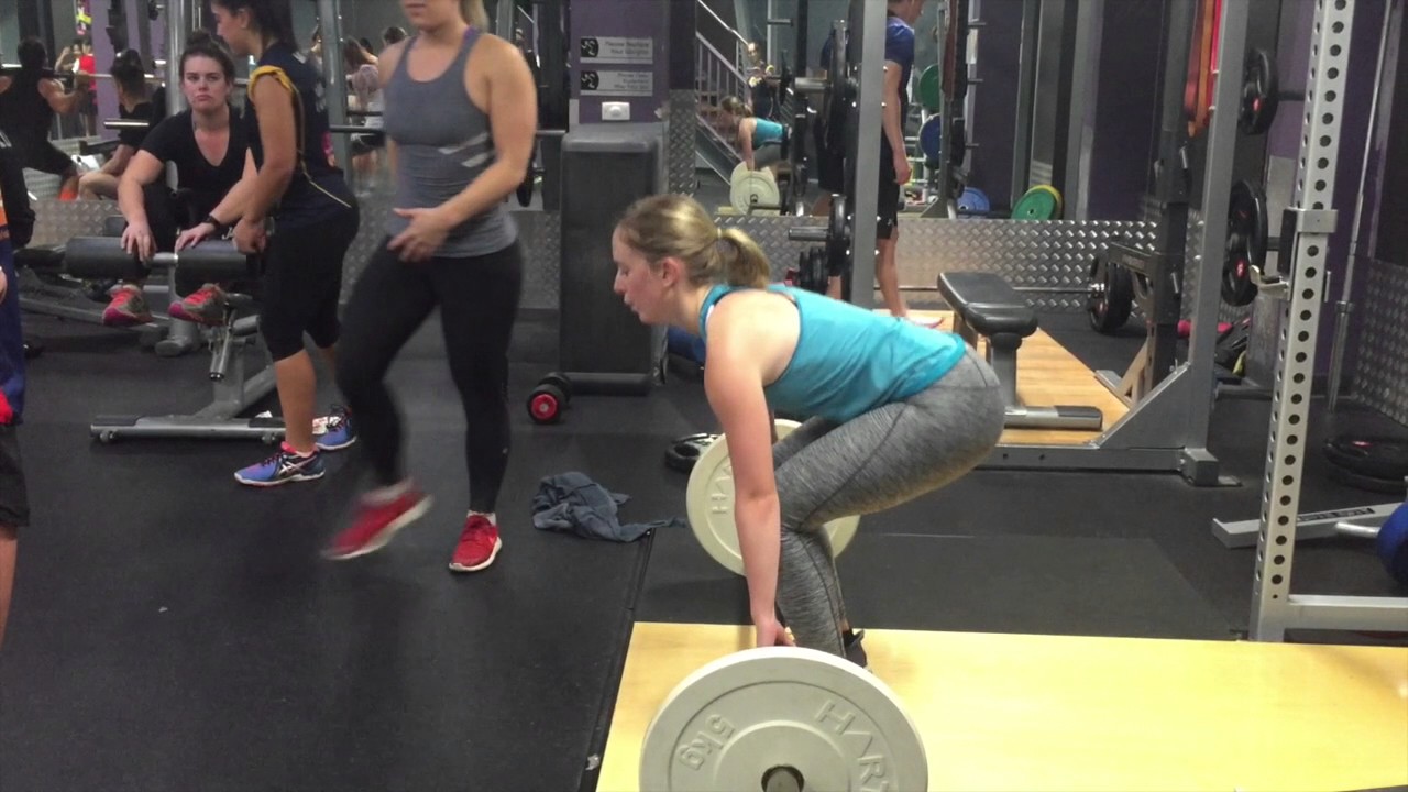 Beyond the Nest || HAWKS IN THE GYM - YouTube