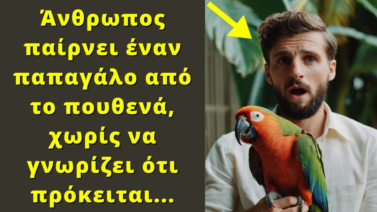 Άνθρωπος παίρνει έναν παπαγάλο από το πουθενά, χωρίς να γνωρίζει ότι ...