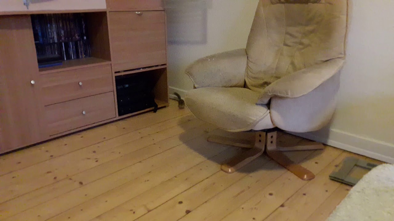 Vasili the Chipmunk 10 part 3 Hyperactive rodent - YouTube