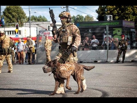 Polish Grom Documentary