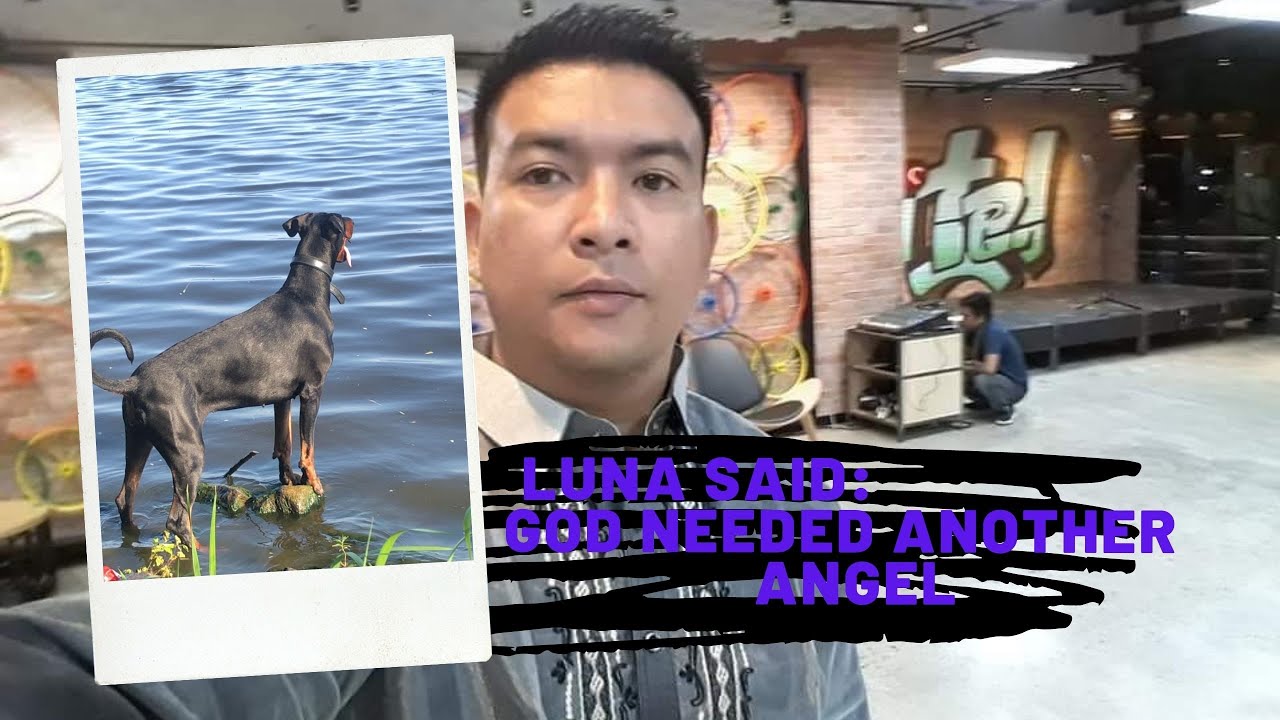 LUNA SAID: GOD NEEDED ANOTHER ANGEL - YouTube