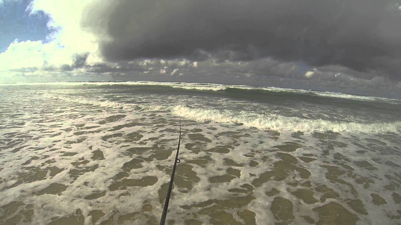 Fraser island-tailor fishing - YouTube