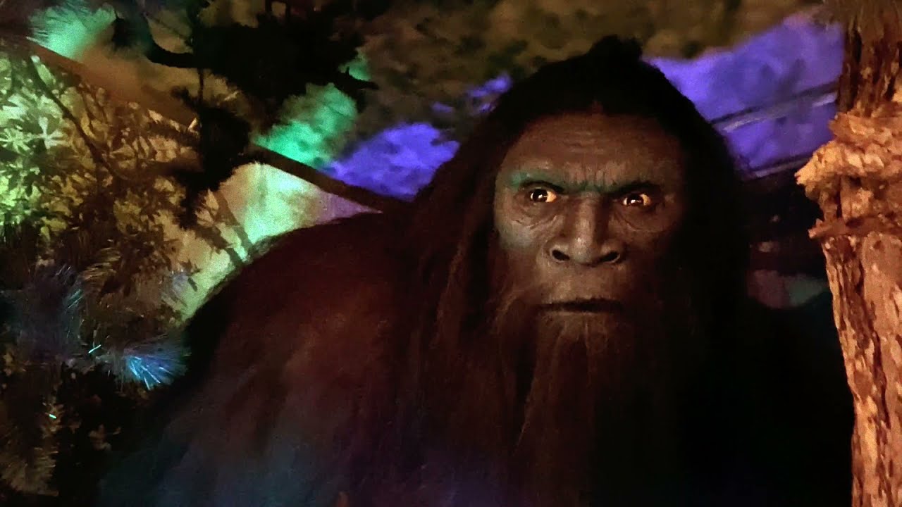 BIGFOOT ENCOUNTER(S) BAILEY COLORADO, SASQUATCH OUTPOST, Sasquatch ...