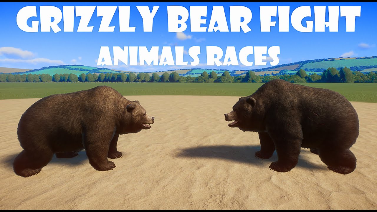 Grizzly Bear Fight in Planet Zoo - Animals Battle - YouTube