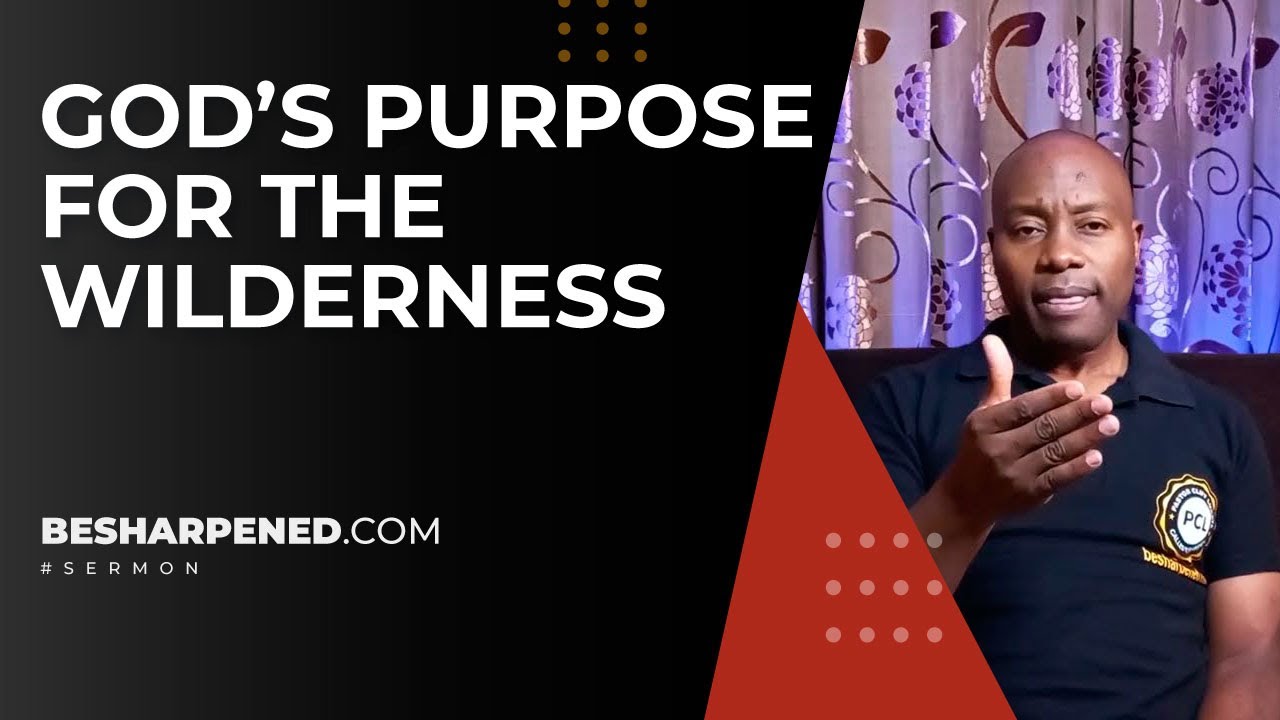GOD'S PURPOSE FOR THE WILDERNESS (Divine Acceleration and Speed Series ...
