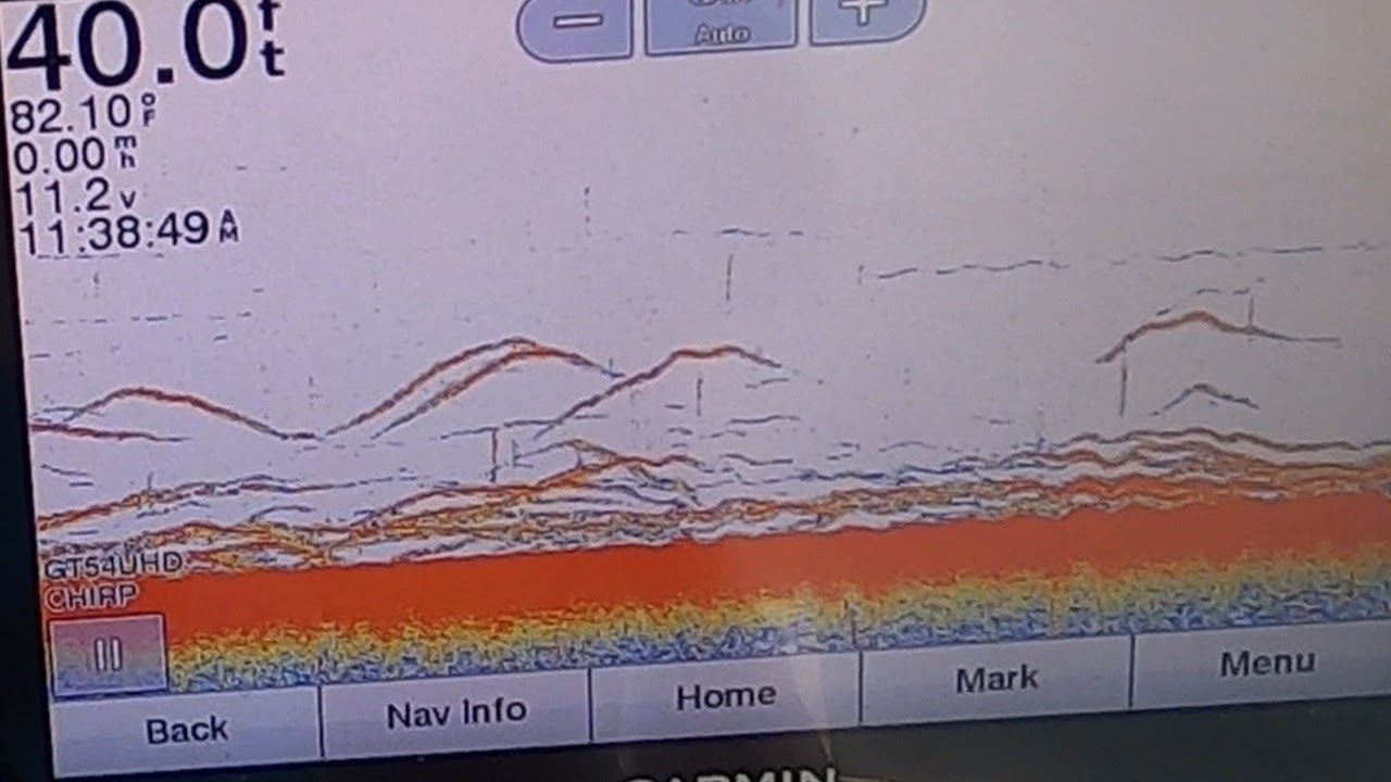 Thumping for Stripers- How to use your thumper and graph to find active ...