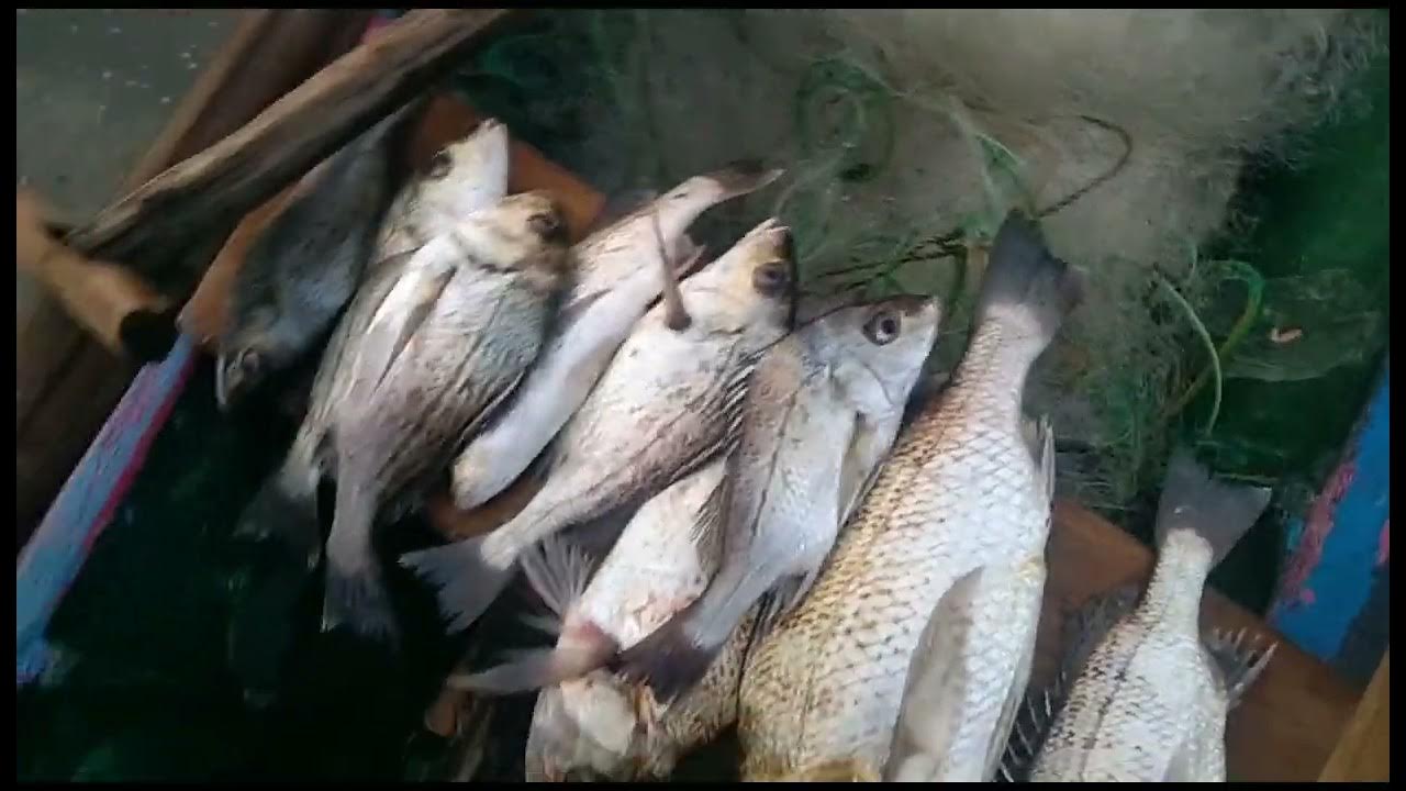 DAMBUHALANG BAKOKUK!!ANG NAHULI NAMIN,DITO SA MANILA BAY!!! - YouTube