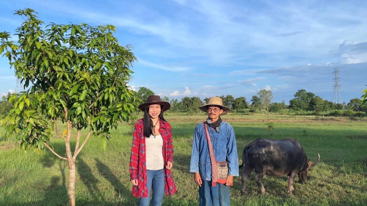 Udon Thani Hidden Gems Part 2 - Buffalo Farm (Big Kim Farm) 4K Thailand ...