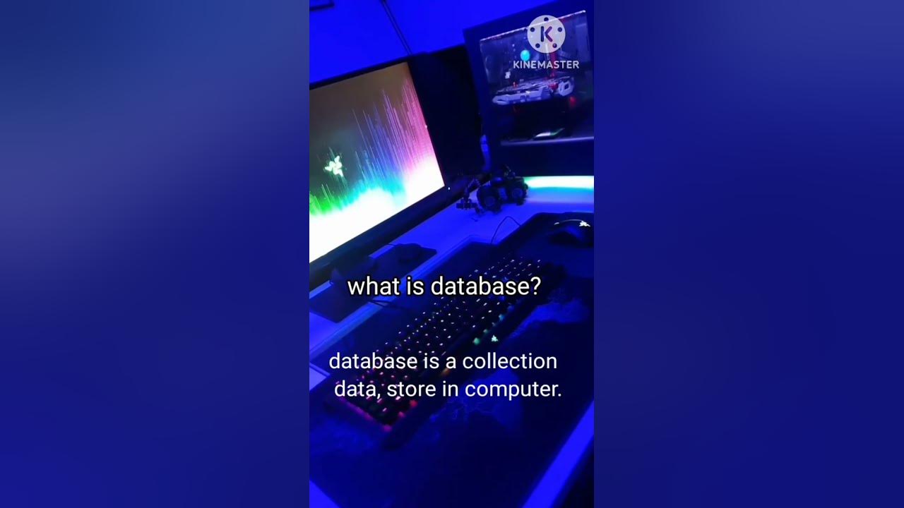 What Is Database Easy Definition Of Database viral database what-is-database-easy-definition-of-database-viral-database