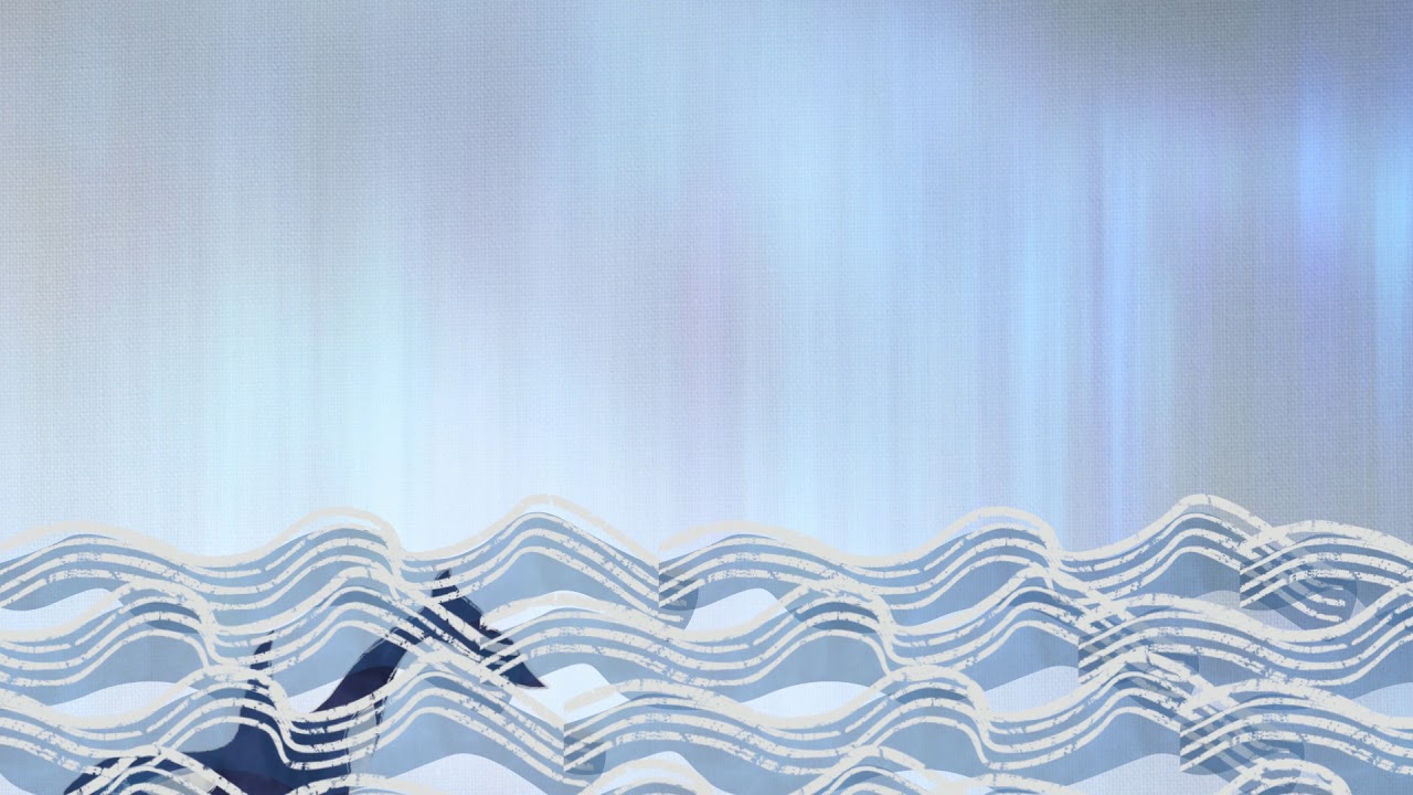 Orca Animation - YouTube