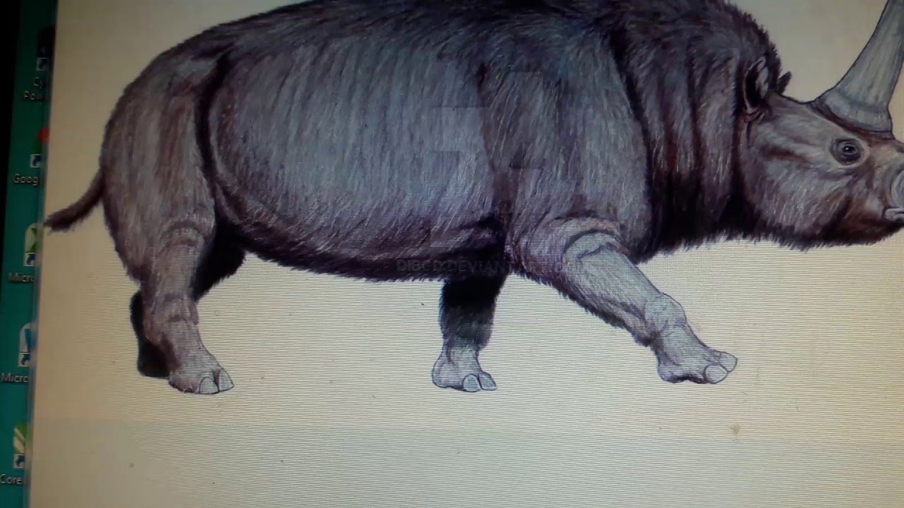 Elasmotherium Sounds - YouTube