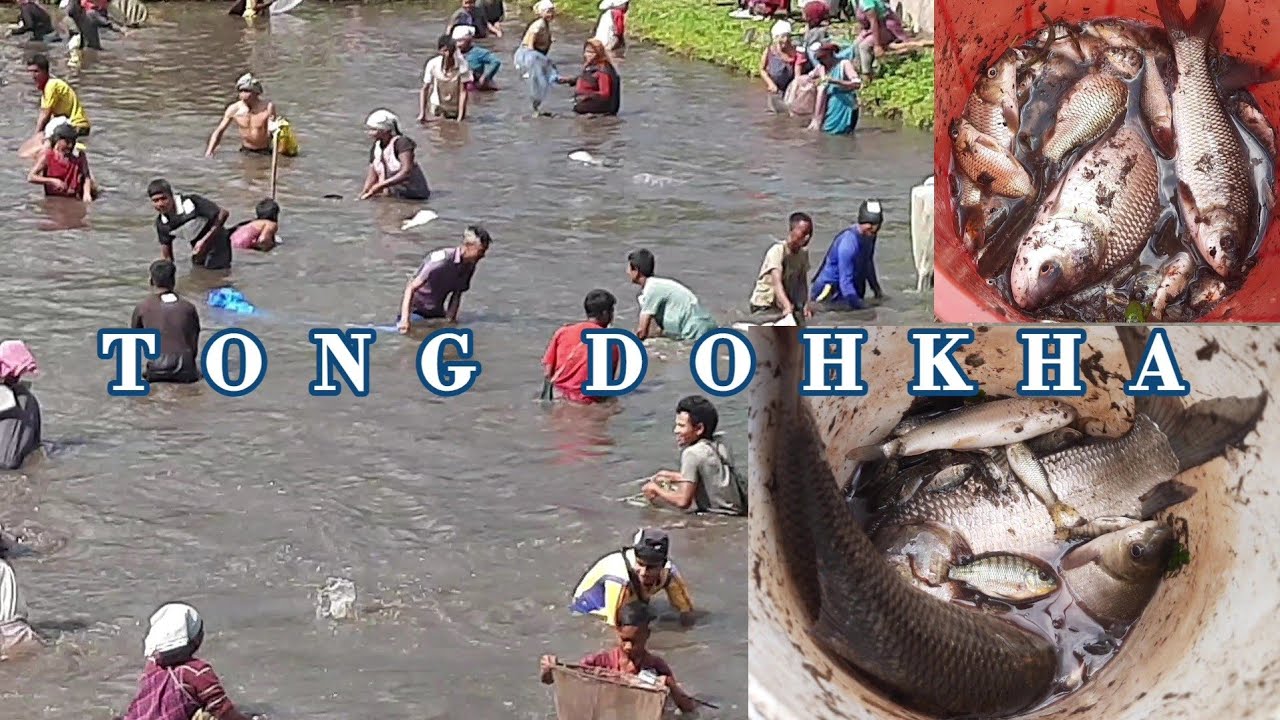 Shongshit ki paitbah ban ia tong dohkha ha pung 😍| Catching fish|Khasi ...