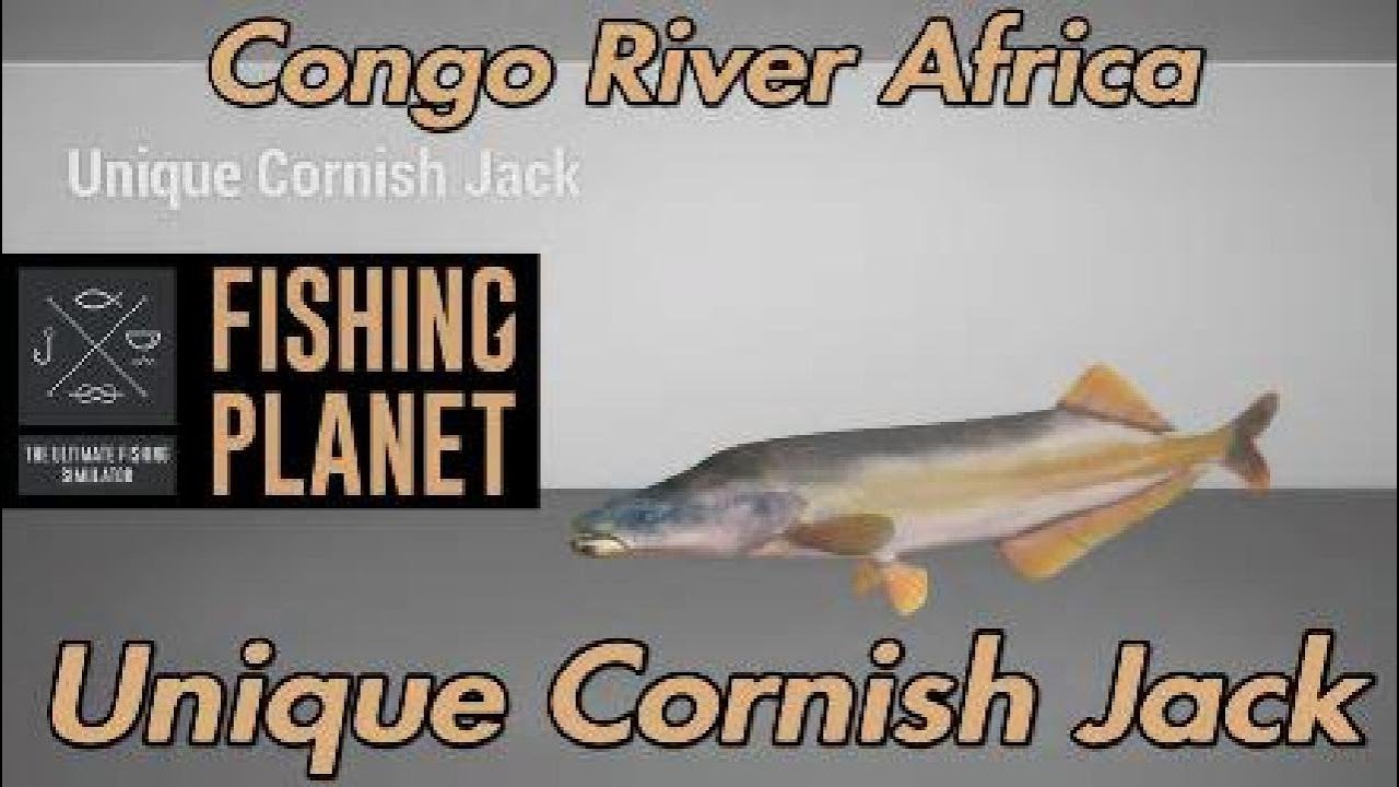 Fishing Planet - Unique Cornish Jack - Congo River Africa - YouTube