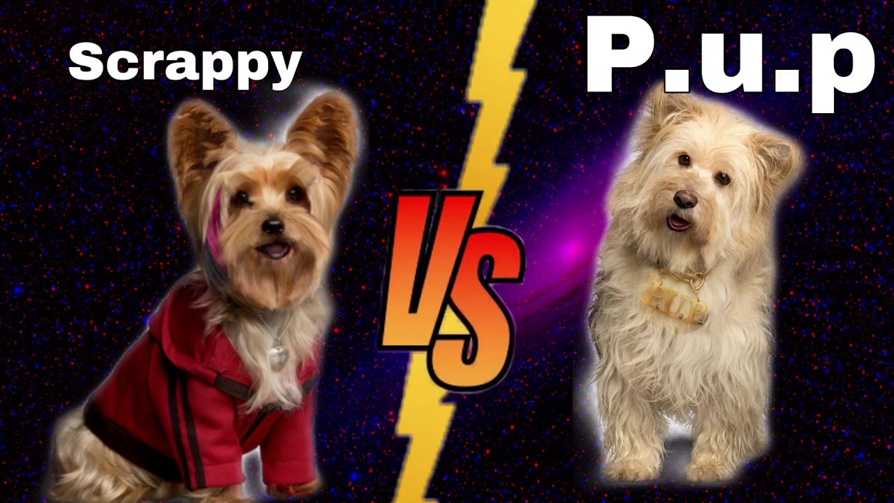 Scrappy vs p.u.p rap battle! - YouTube