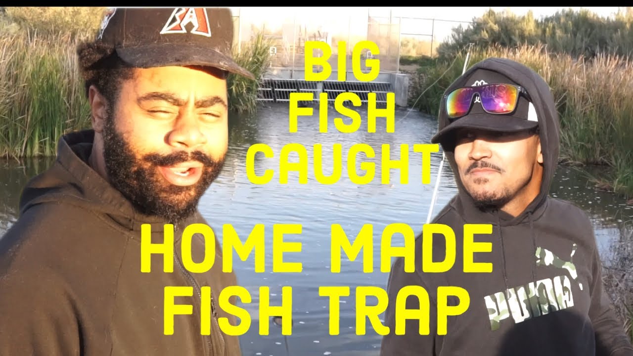 Home Made Fish Traps! Big Fish Caught! - YouTube