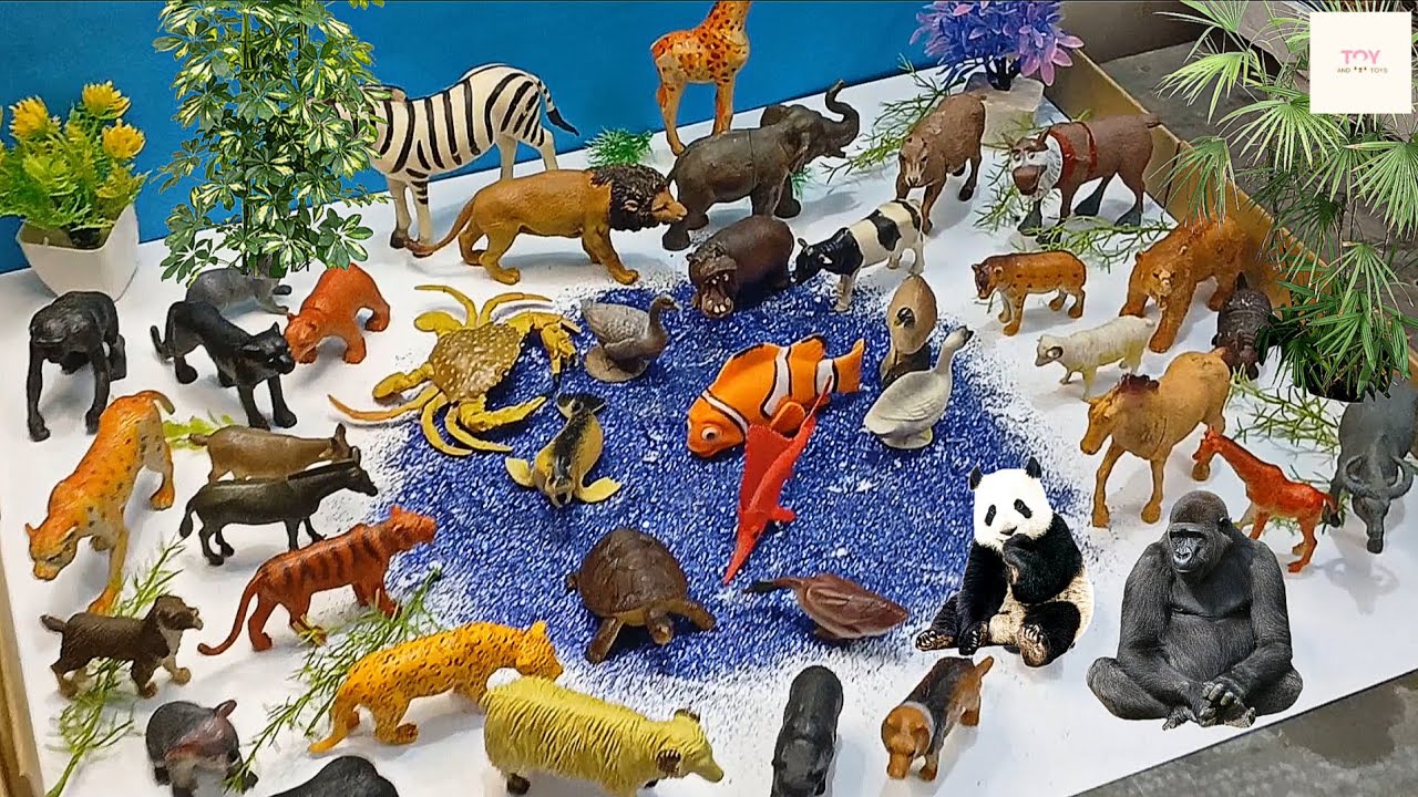 Guess the Wild Zoo Animal name | Learning and Fun Adventure for Kids ...