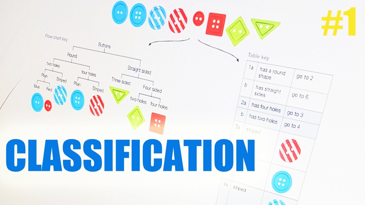 Classification #1 - What is Classification? - YouTube