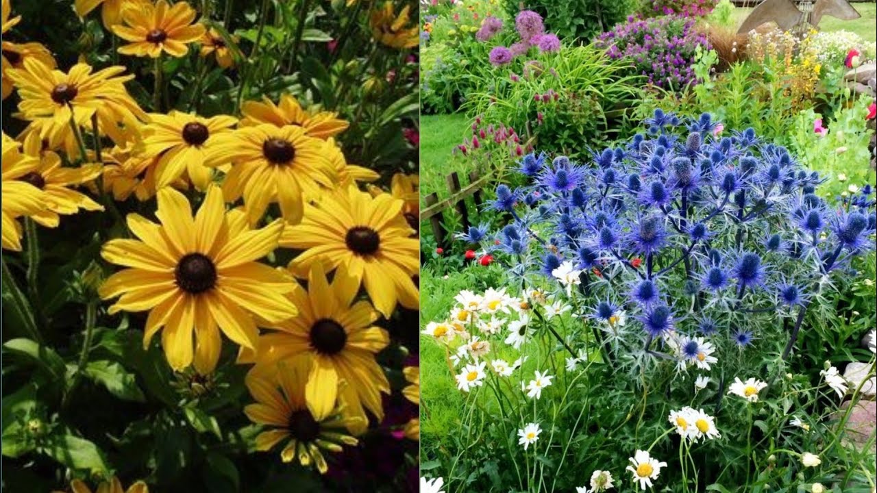 Top Tips: Deadhead Bulbs & Plant Flower Seedlings Easily - YouTube