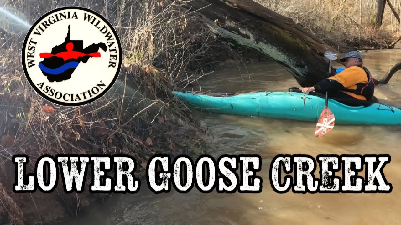 Lower Goose Creek is like paddling through an enchanted forest. - YouTube