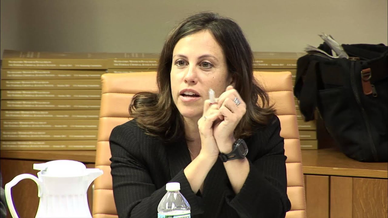 USSC Public Hearing - November 5, 2015 - Panel Two: Views from the ...