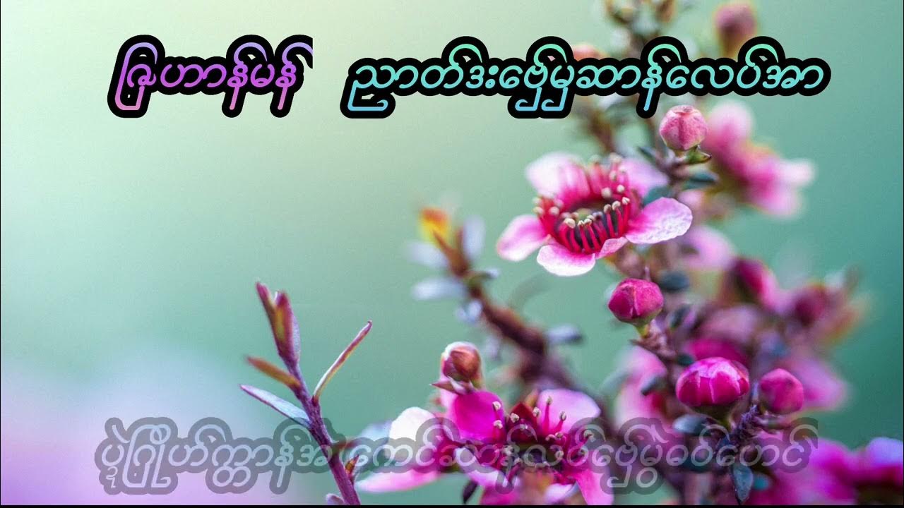 ဇြဟာန်မန် ညာတ်ဒးဗှ်ေမှဆာန်လေပ်အာ Youtube